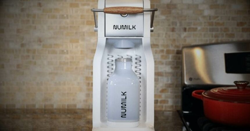 NuMilk Net Worth: How Did This Dairy-Free Brand Achieve Its Impressive ...